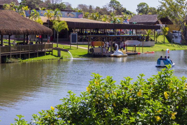 03 dicas do que fazer com a sua família no Arca Parque | Arca Parque
